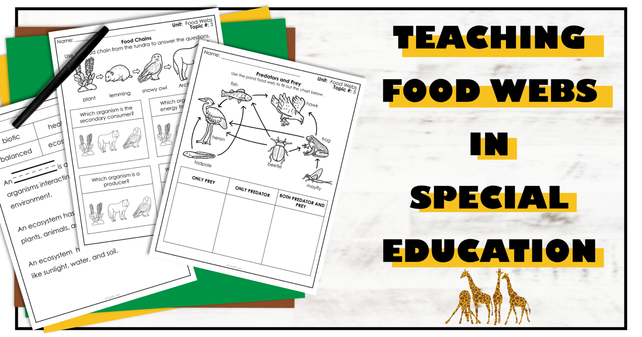 Teaching Food Webs in Special Education: Engage All of Your Learners ...